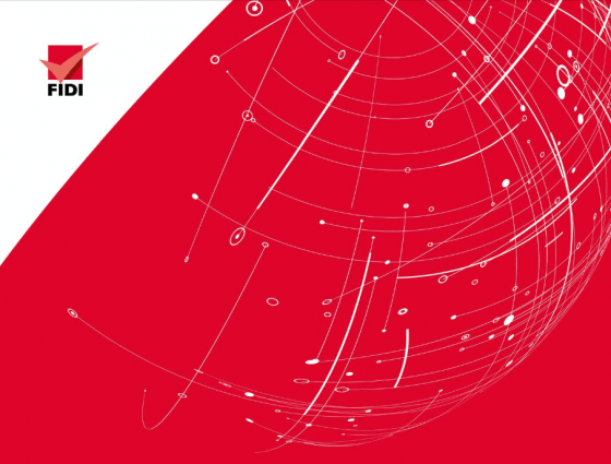 FIDI Customs Guides | FIDI