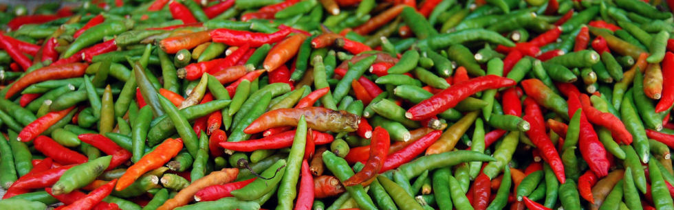 Expat health: 3 steps to staying healthy and feeling good | FIDI